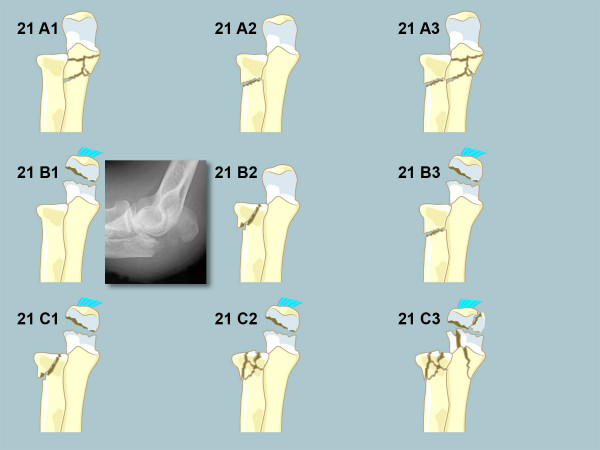 © Abt. für Unterricht und Medien AUM, Institut für Medizinische Lehre ...