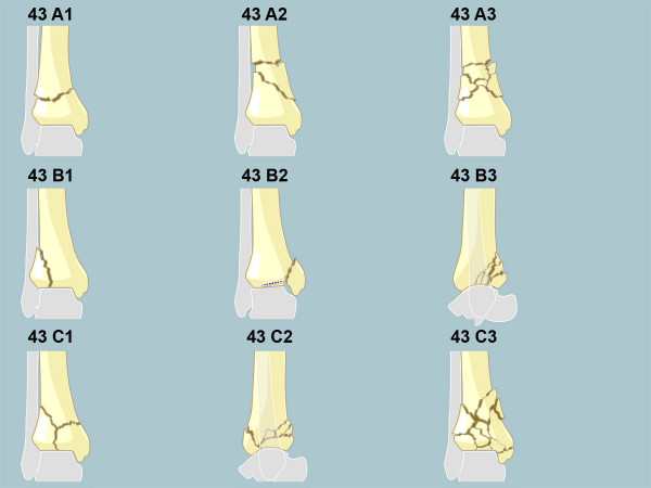 © Abt. für Unterricht und Medien AUM, Institut für Medizinische Lehre ...