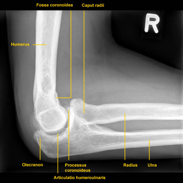 © Institut für Diagnostische, Interventionelle und Pädiatrische ...