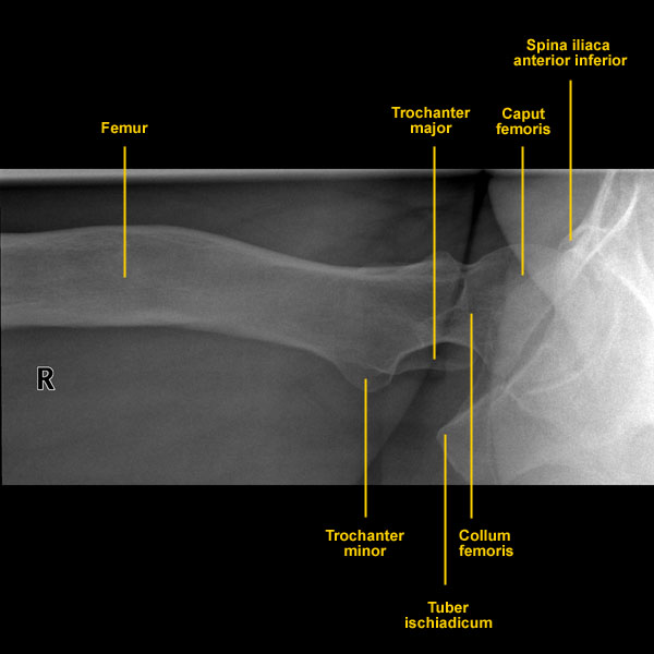© Institut für Diagnostische, Interventionelle und Pädiatrische ...