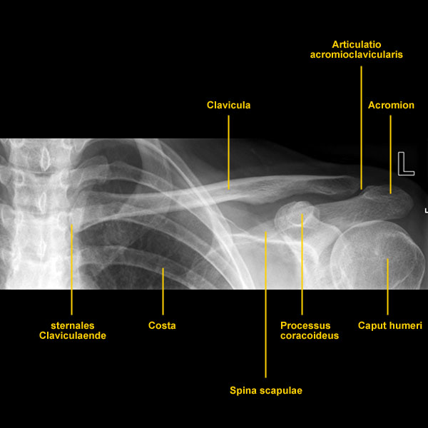 © Institut für Diagnostische, Interventionelle und Pädiatrische ...