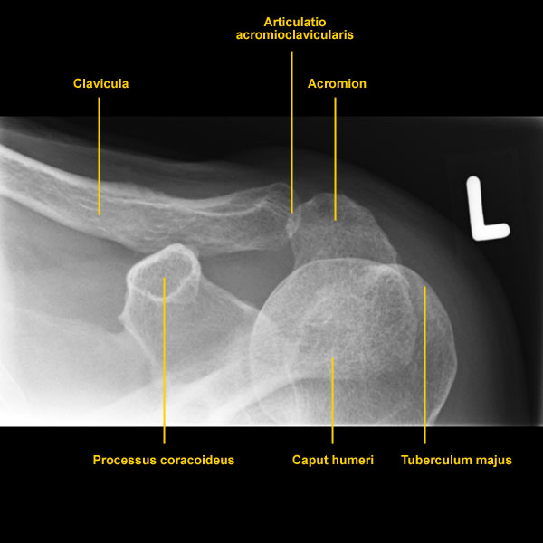 © Institut für Diagnostische, Interventionelle und Pädiatrische ...