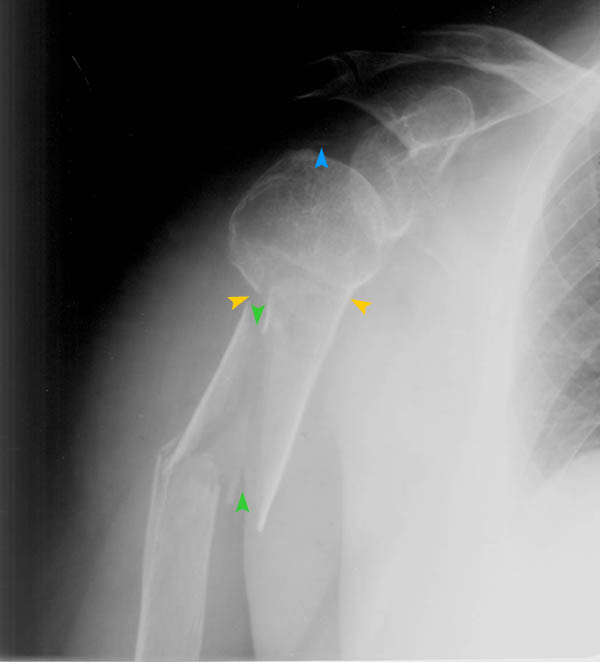 © Institut für Diagnostische, Interventionelle und Pädiatrische ...